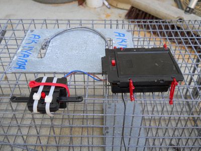 Remote Control Cage Trap : 5 Steps (with Pictures) - Instructables