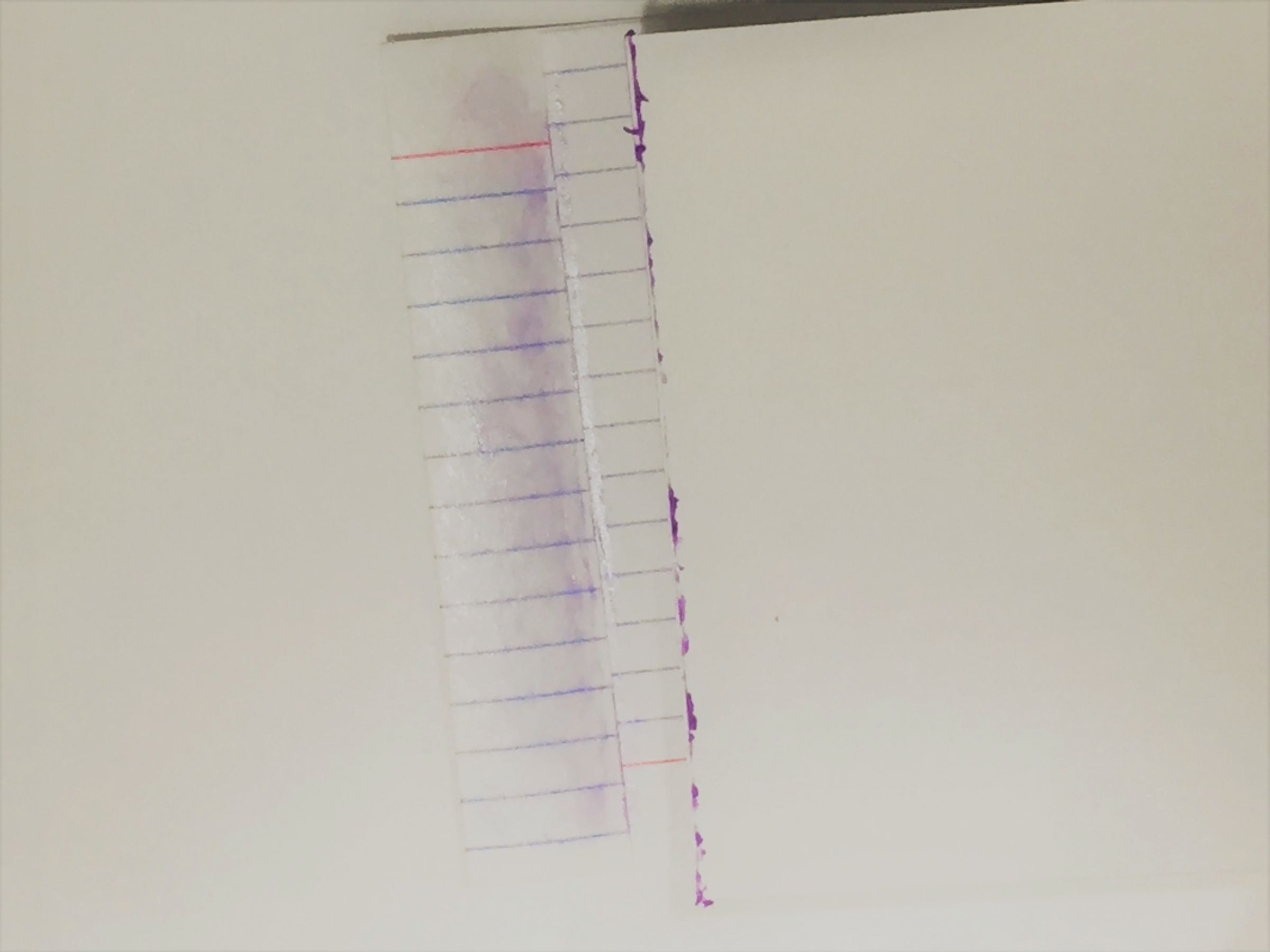 How to Make a High-Quality Flip Book : 8 Steps (with Pictures ...