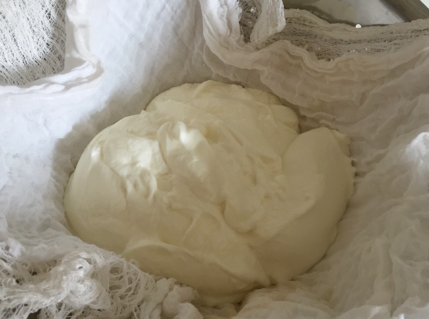 What the Quark??? DIY German Quark : 4 Steps (with Pictures ...