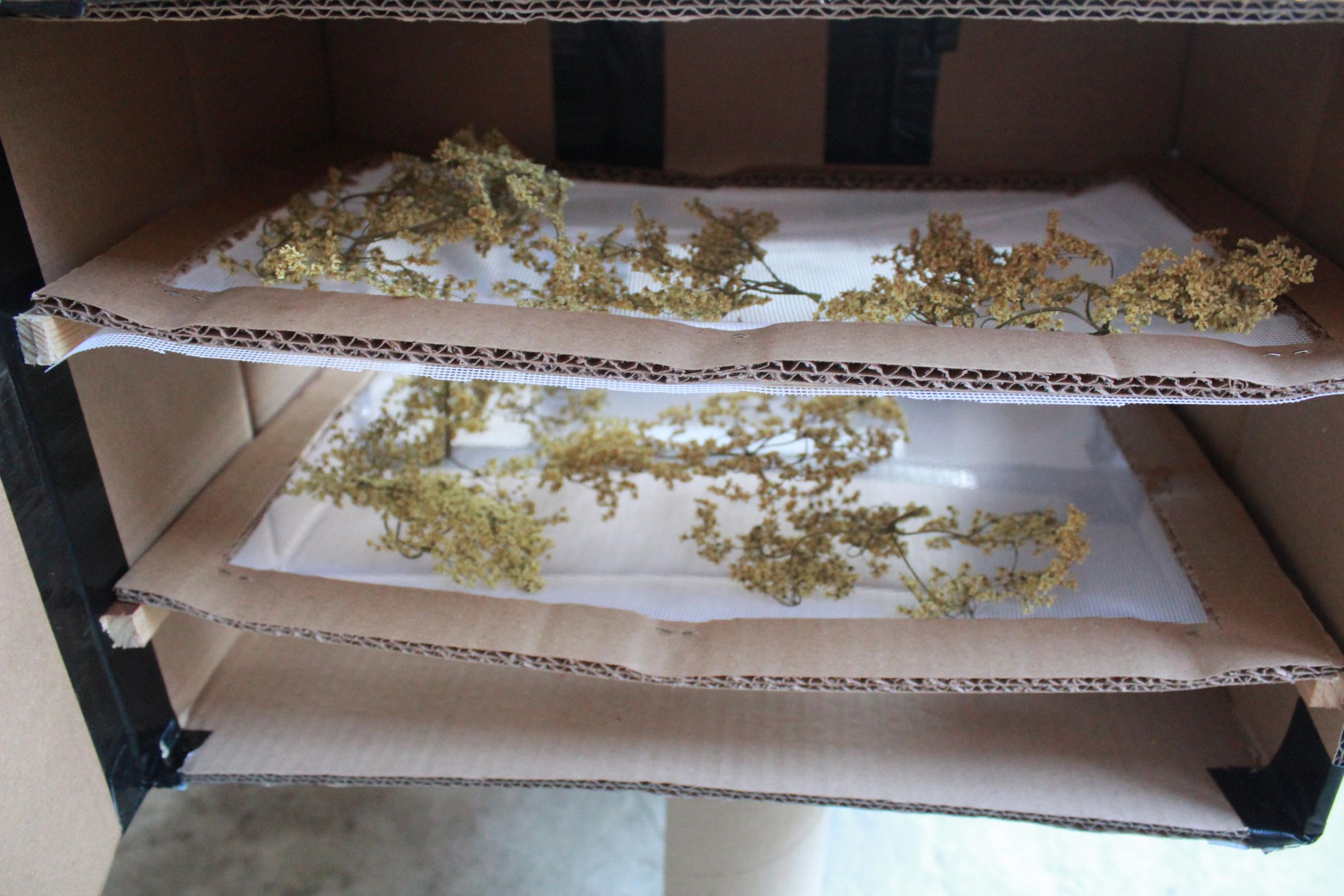 Cardboard Solar Dehydrator : 5 Steps (with Pictures) - Instructables