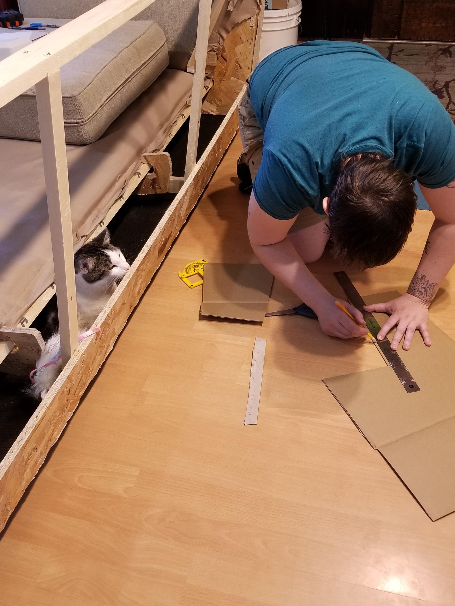 Couch Hack for Your Cat : 14 Steps (with Pictures) - Instructables