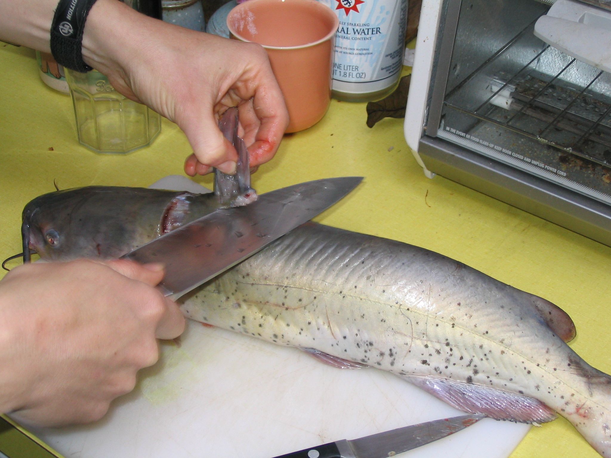 Skinning and Filleting Catfish : 13 Steps (with Pictures) - Instructables