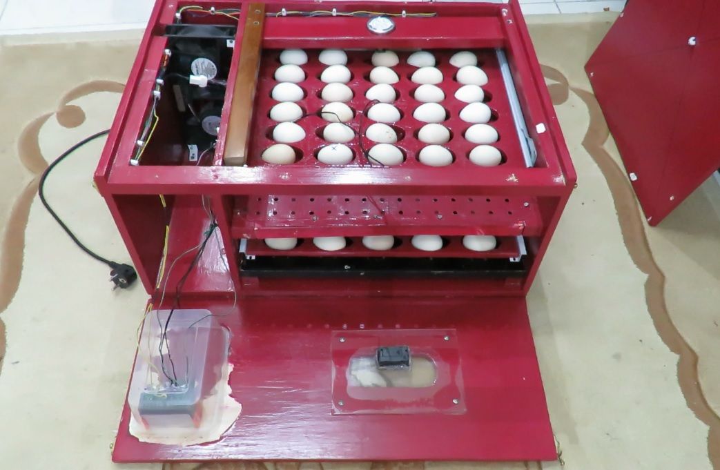 DIY Home Made Incubator From a to Z : 4 Steps (with Pictures ...