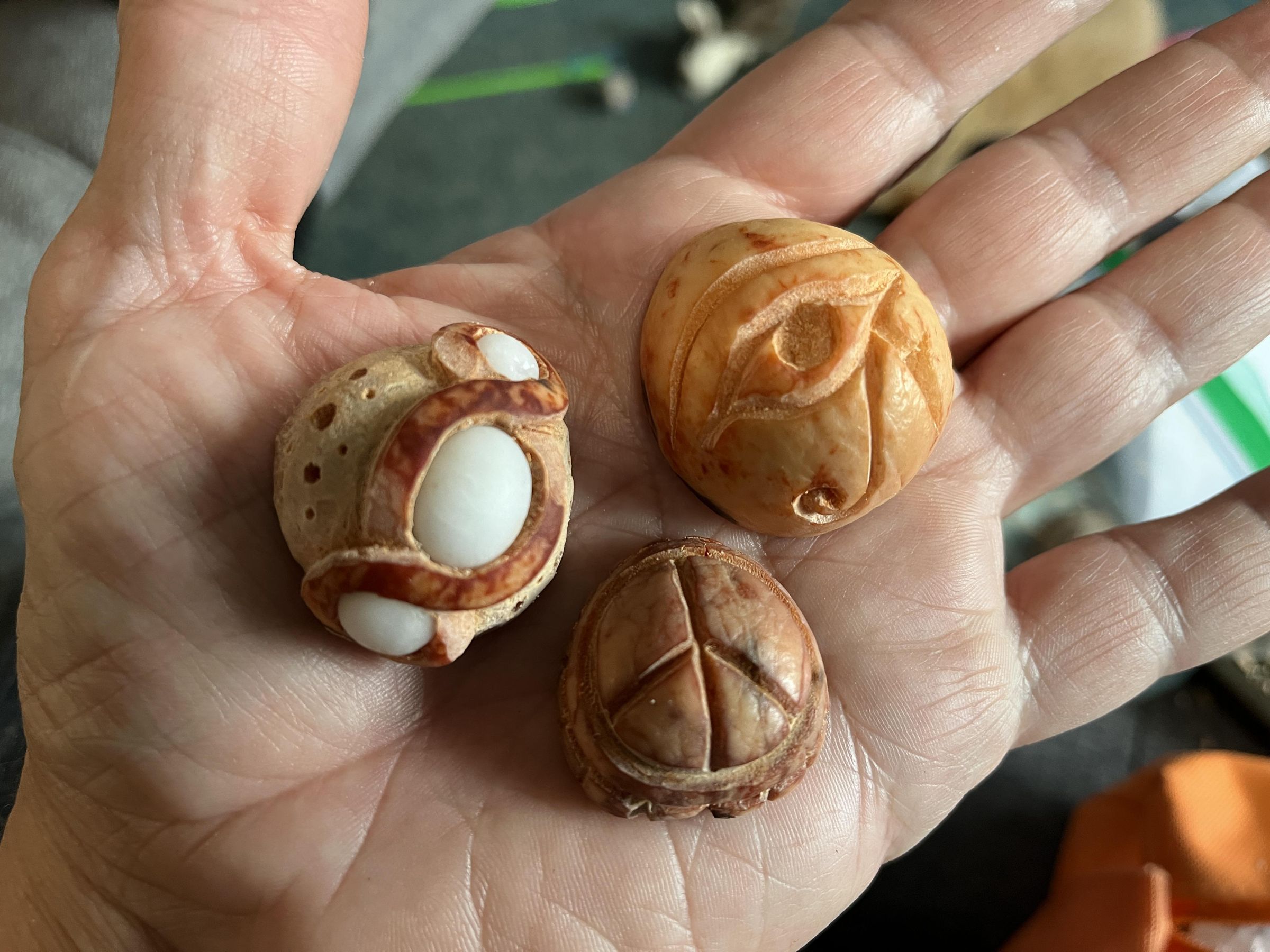 How to Carve Avocado Pits : 4 Steps (with Pictures) - Instructables