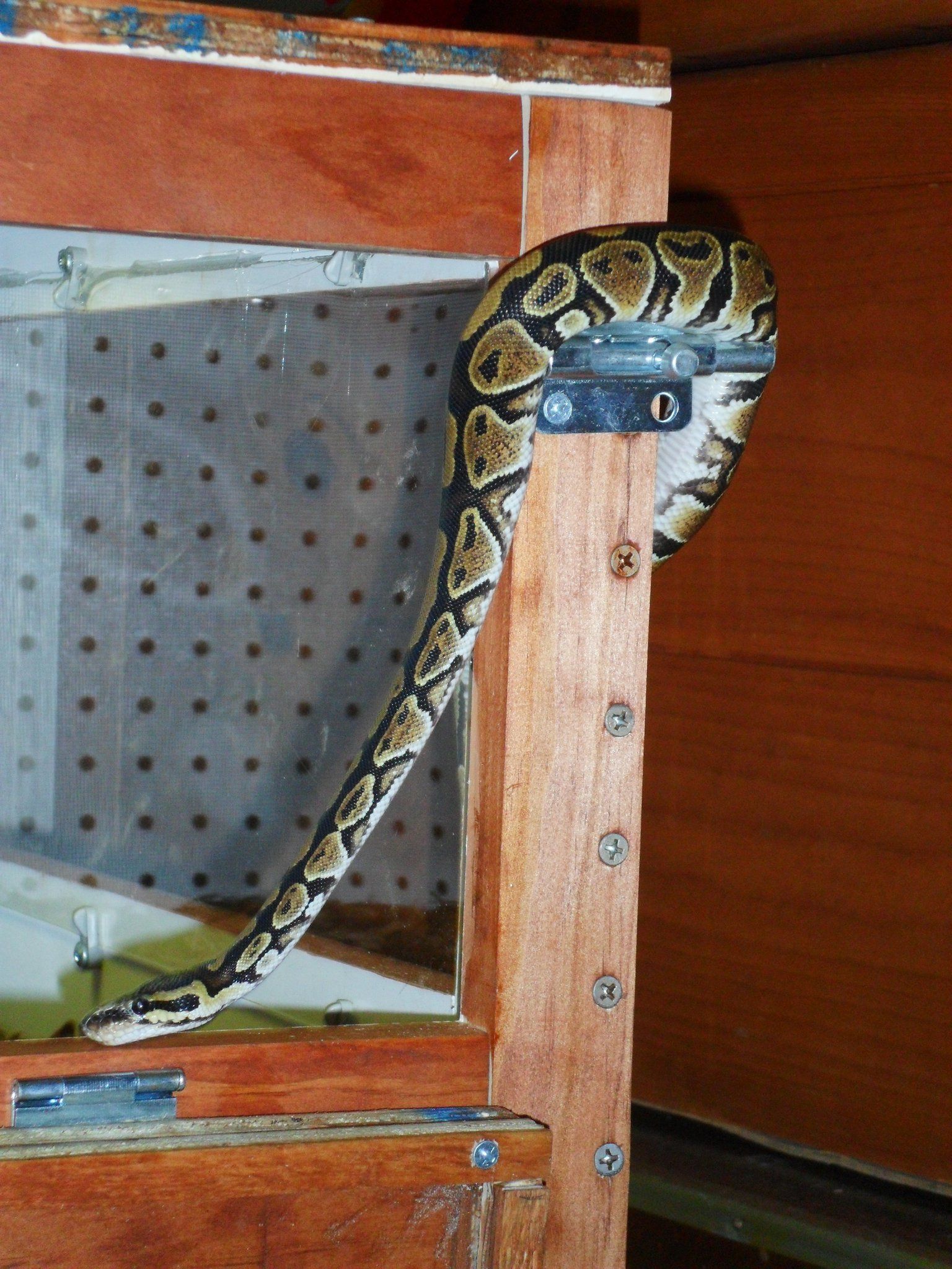 Custom Reptile Cage : 7 Steps - Instructables