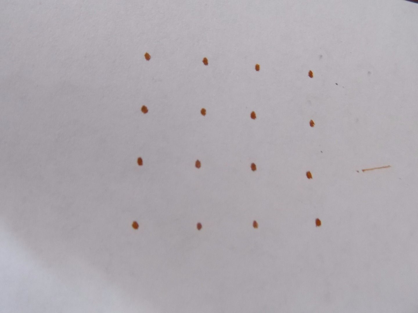 Kambi Kolam : 9 Steps - Instructables