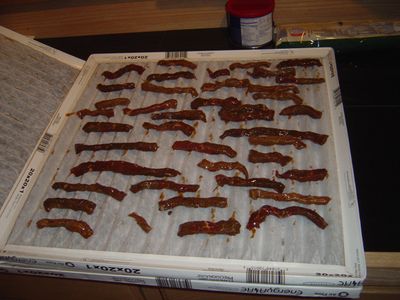 Box Fan Jerky : 5 Steps - Instructables
