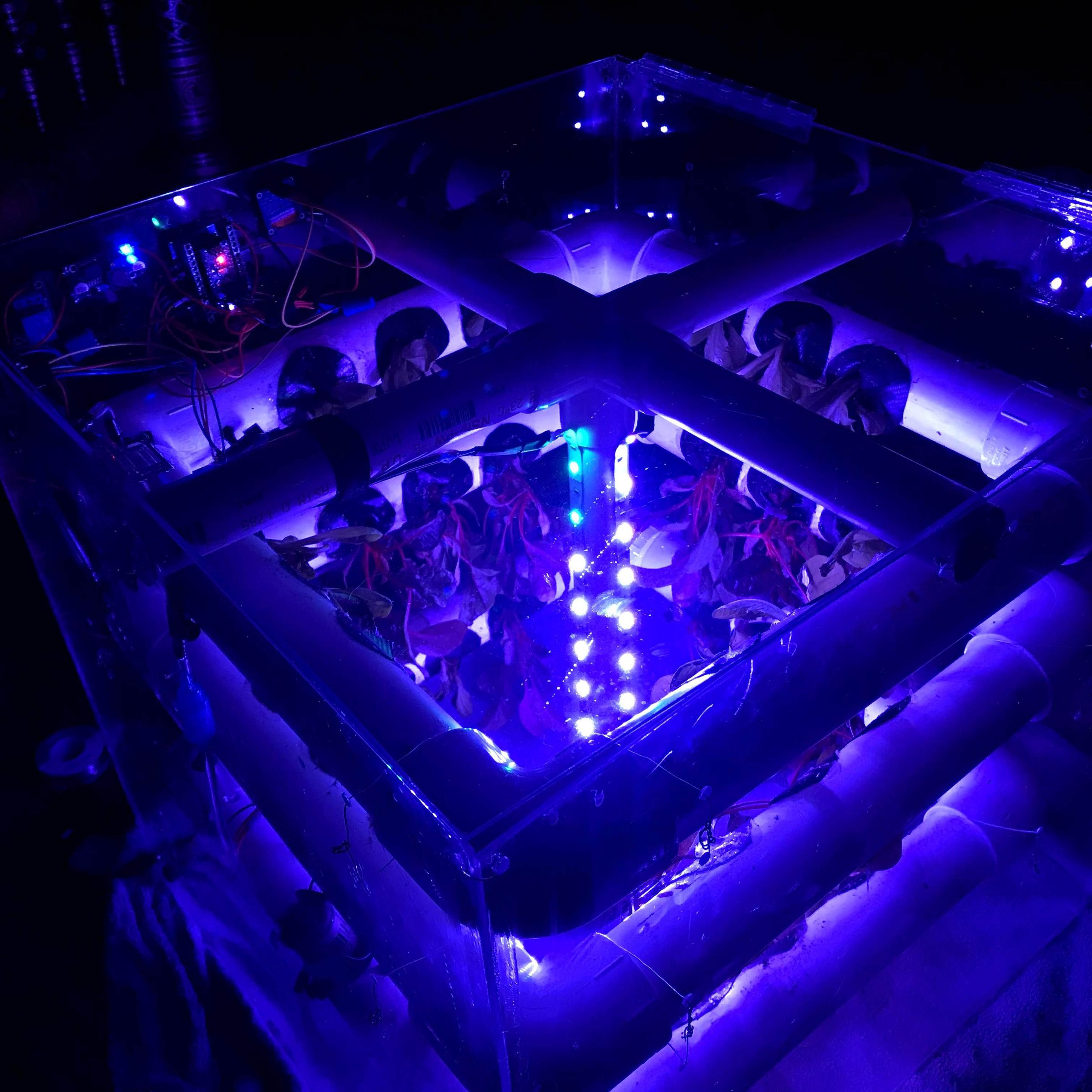 Hydroponic Grow Box : 6 Steps (with Pictures) - Instructables