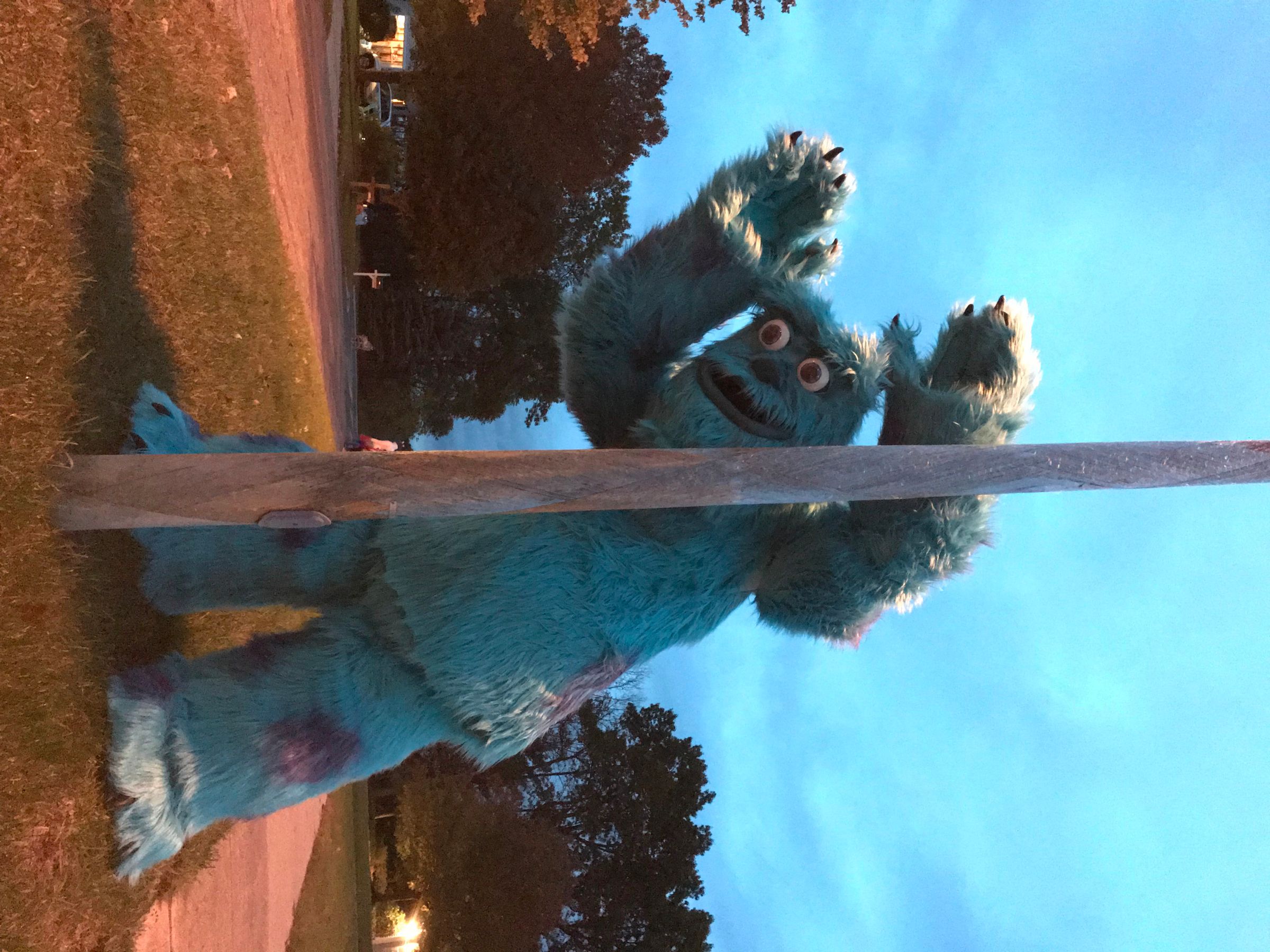 The Ultimate Sully Costume : 7 Steps (with Pictures) - Instructables