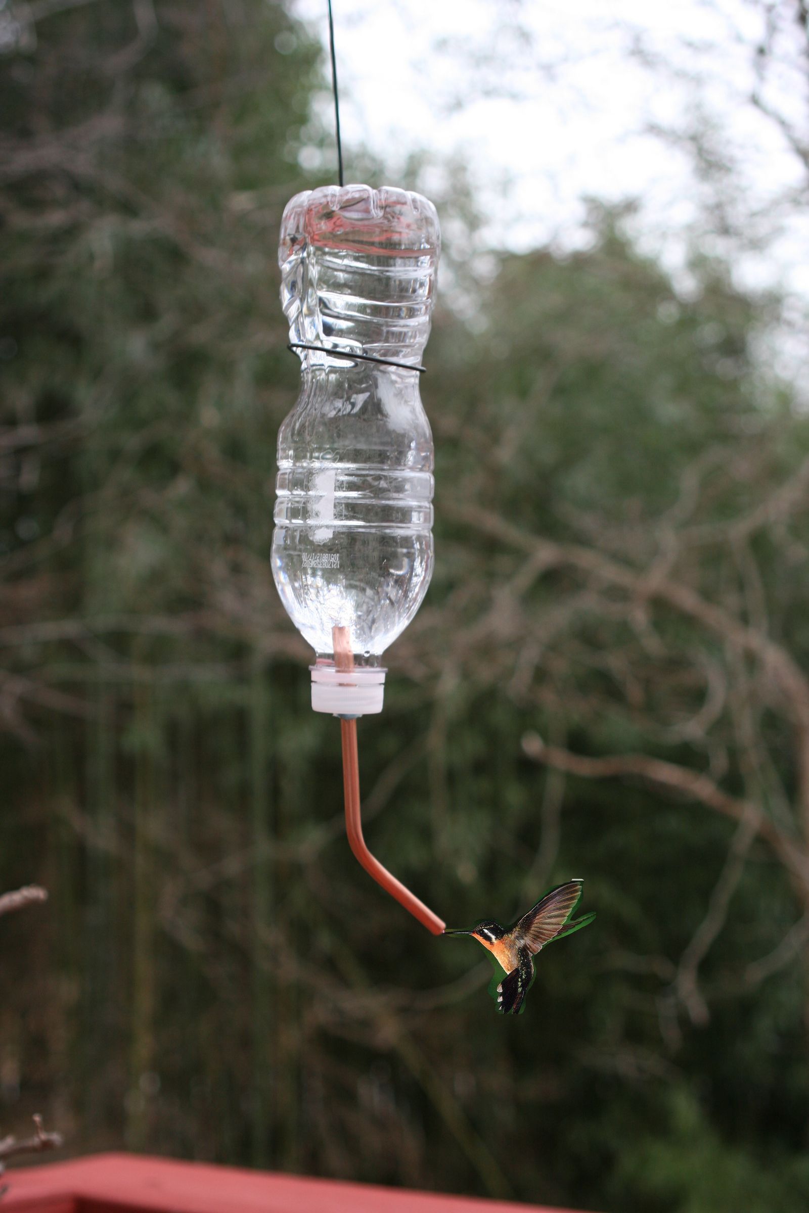 Water Bottle Hummingbird Feeder : 8 Steps - Instructables