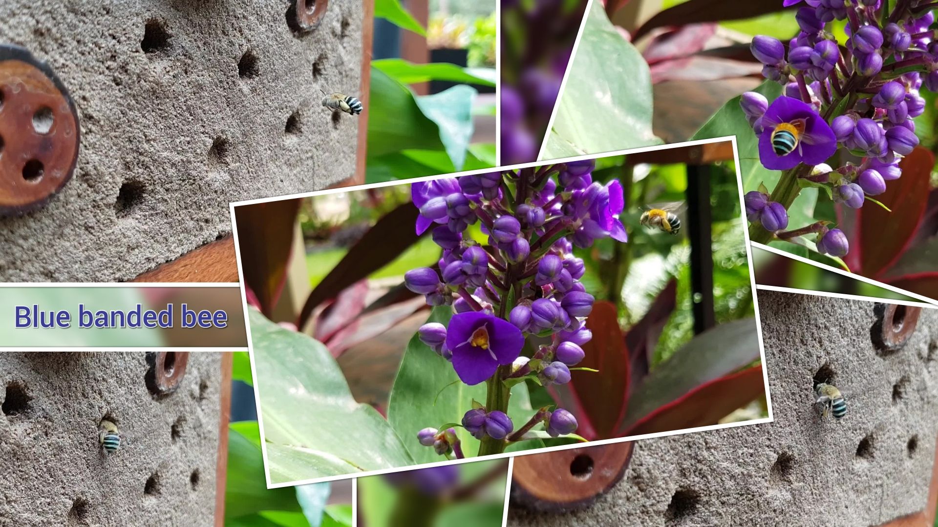 Insect Hotel : 10 Steps (with Pictures) - Instructables