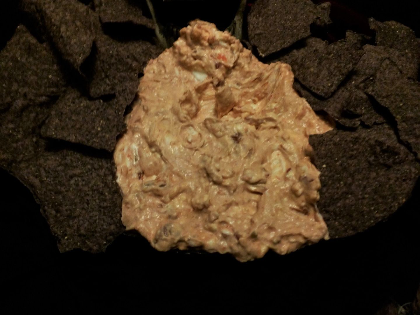 Vomit Dip! (AKA River Dip) (with Pictures) - Instructables