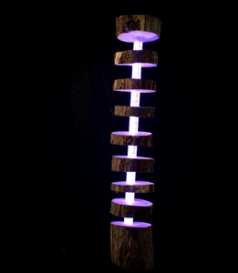 LED Log Lamp : 34 Steps (with Pictures) - Instructables