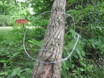 The Squirrel Snare : 5 Steps (with Pictures) - Instructables