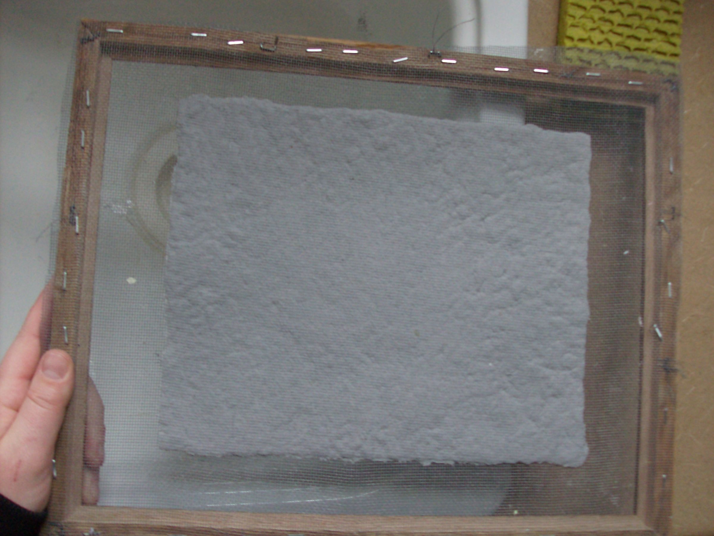 Homemade Paper : 8 Steps (with Pictures) - Instructables