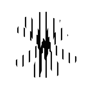 Homemade Scanimation (Real Life GIFs!) : 3 Steps - Instructables