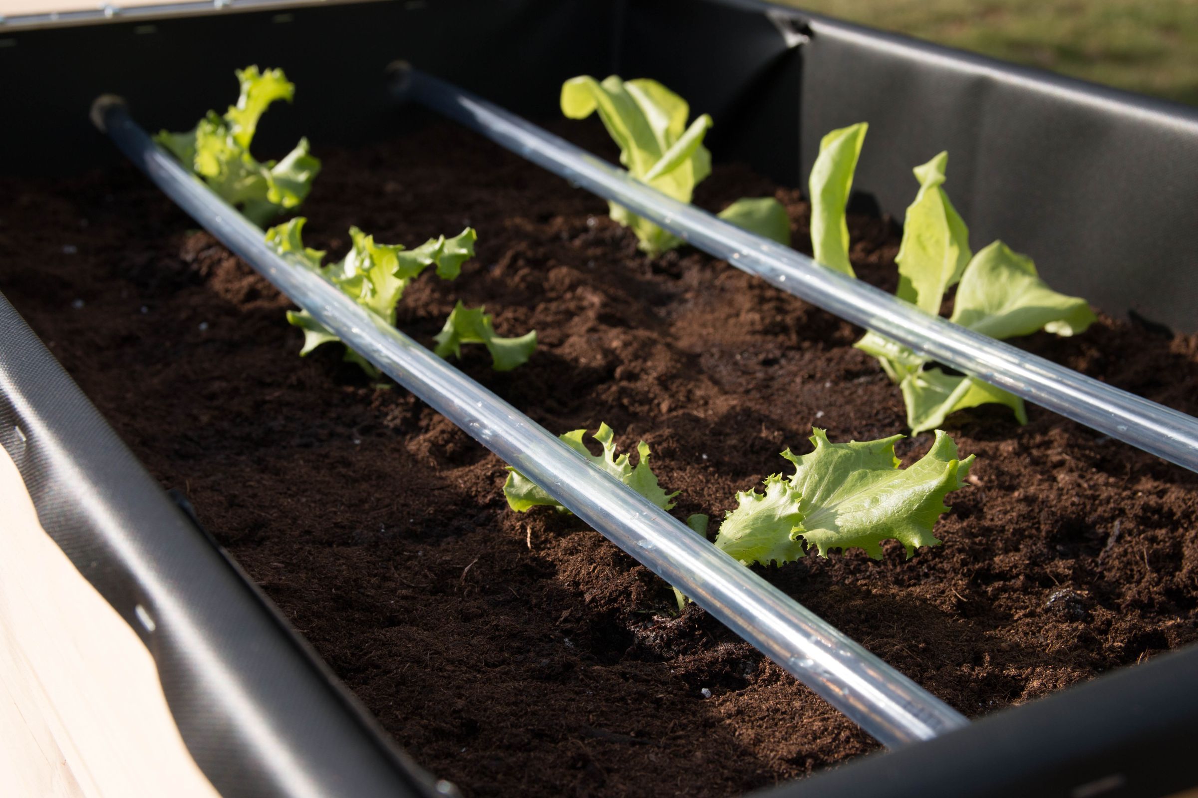 Smart IoT Garden : 10 Steps (with Pictures) - Instructables