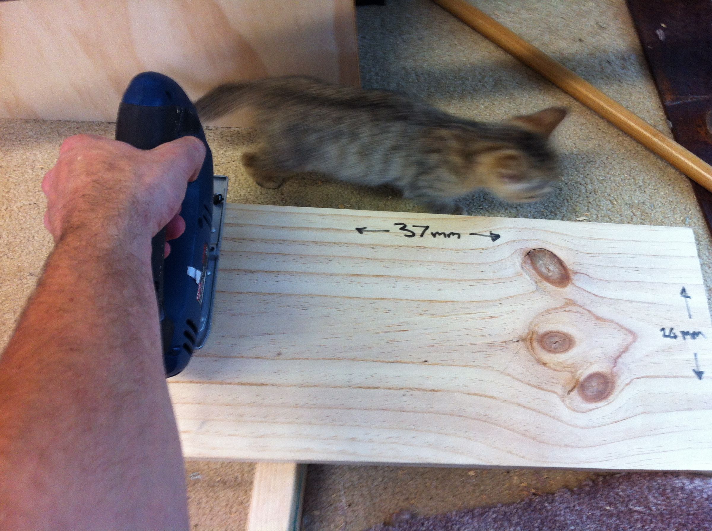 Magnetic Cat Toy : 6 Steps (with Pictures) - Instructables