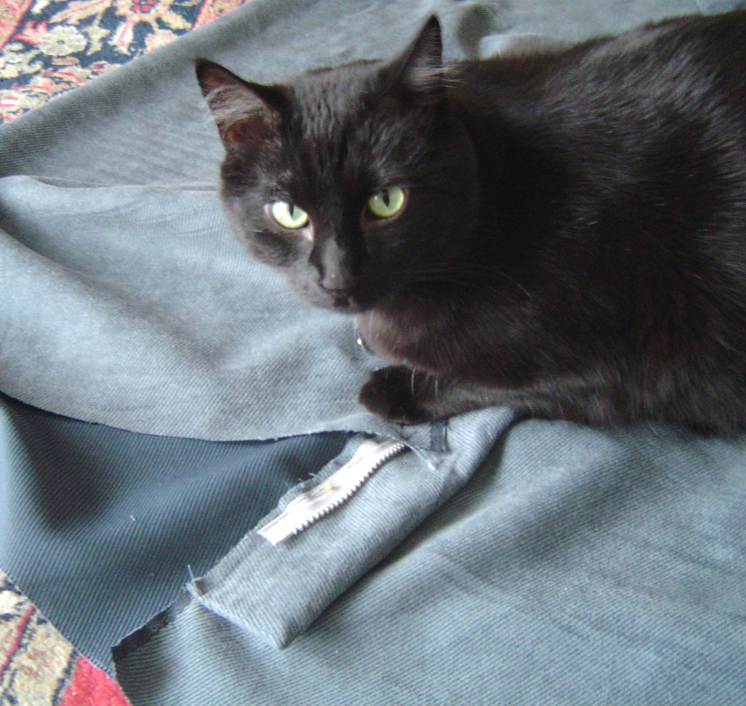 Blue Velvet Bog Coat : 19 Steps (with Pictures) - Instructables