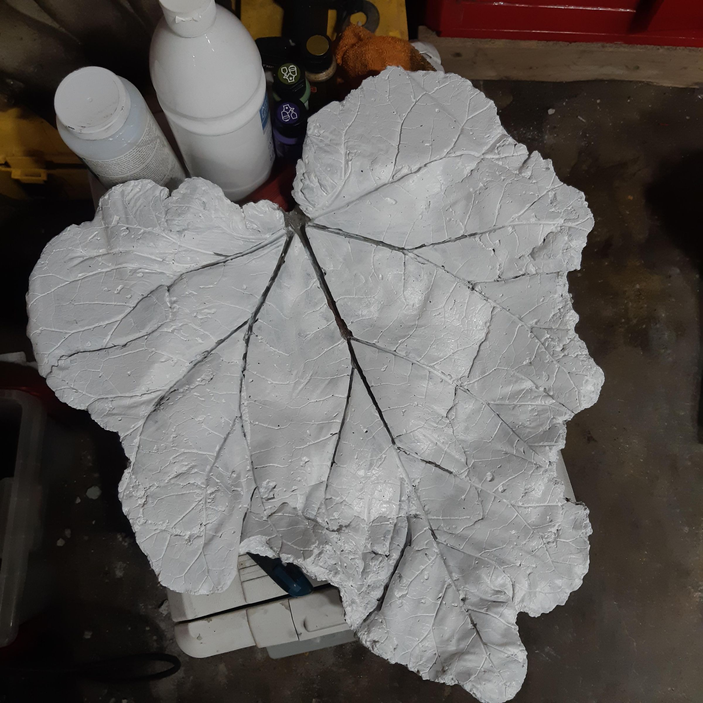 Concrete Rhubarb Leaf Garden Decor : 8 Steps (with Pictures ...