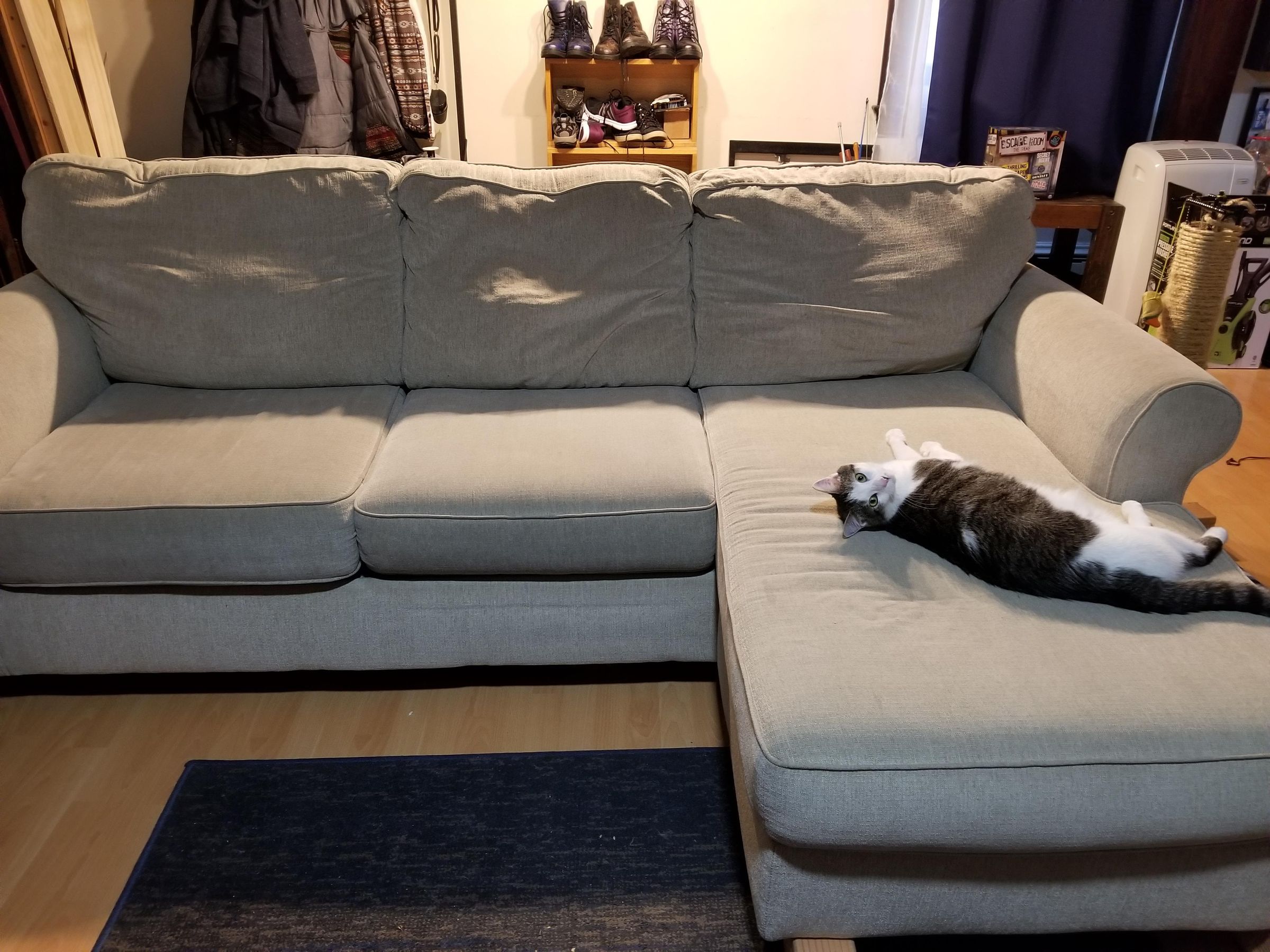 Couch Hack for Your Cat : 14 Steps (with Pictures) - Instructables
