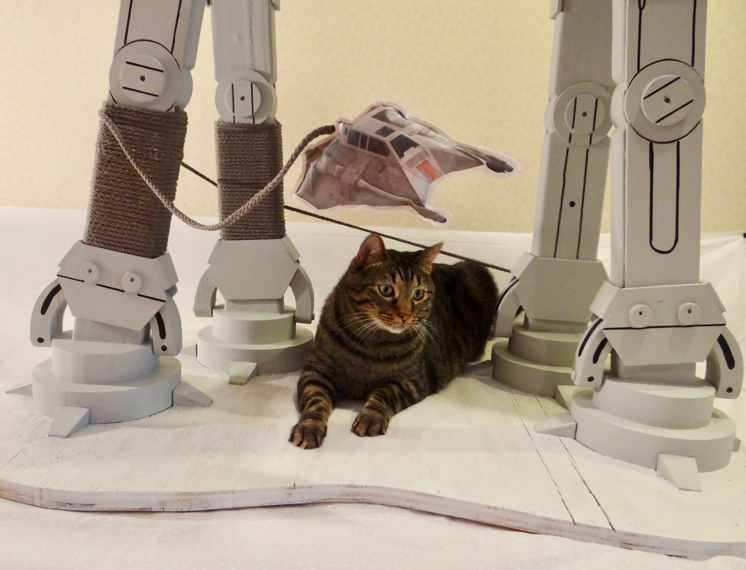 CAT-CAT : 13 Steps (with Pictures) - Instructables