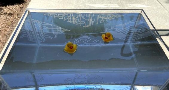Assistive Aquaponics Fish Tank : 15 Steps (with Pictures) - Instructables
