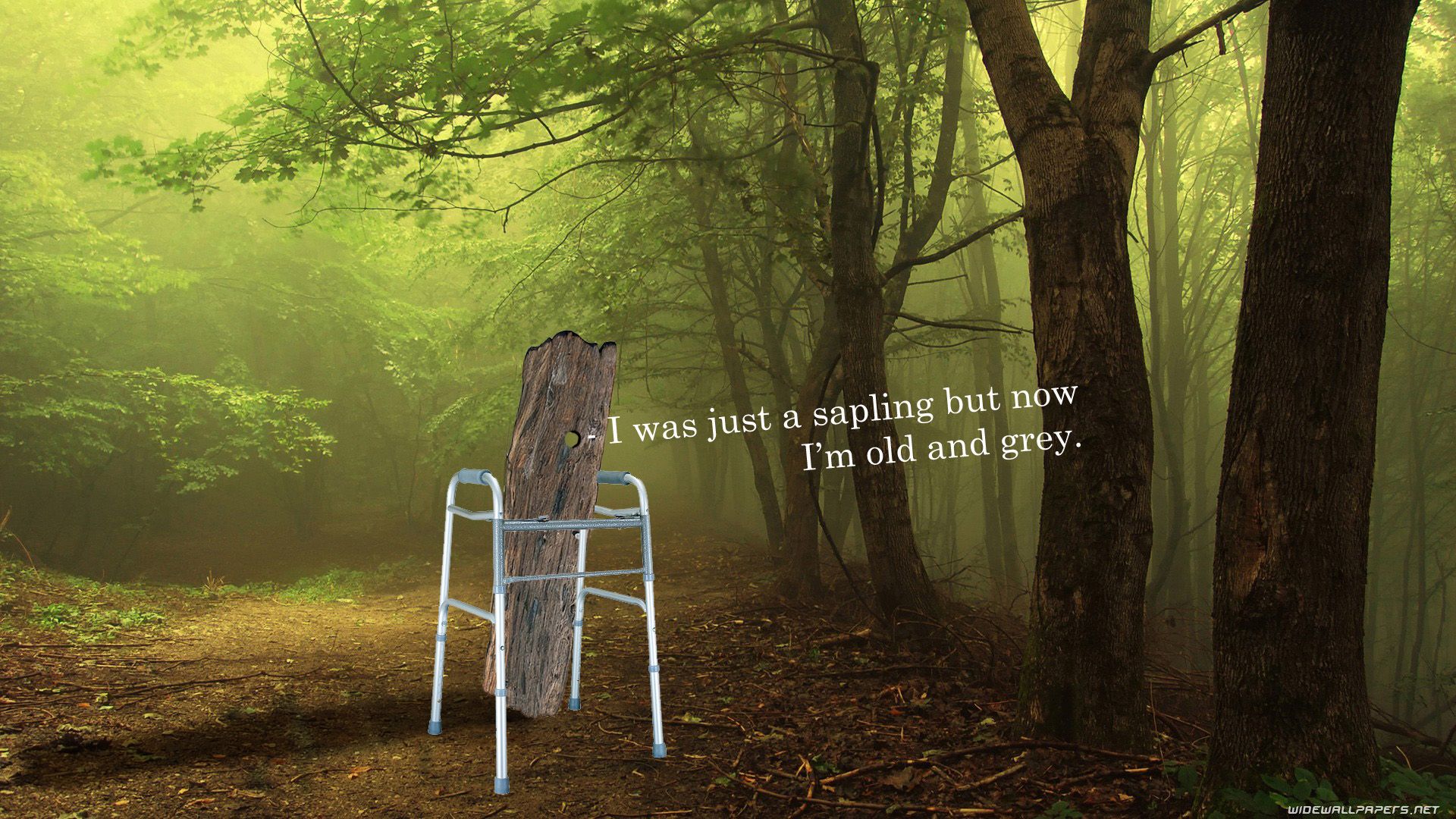 Forcibly Aging Wood : 3 Steps (with Pictures) - Instructables