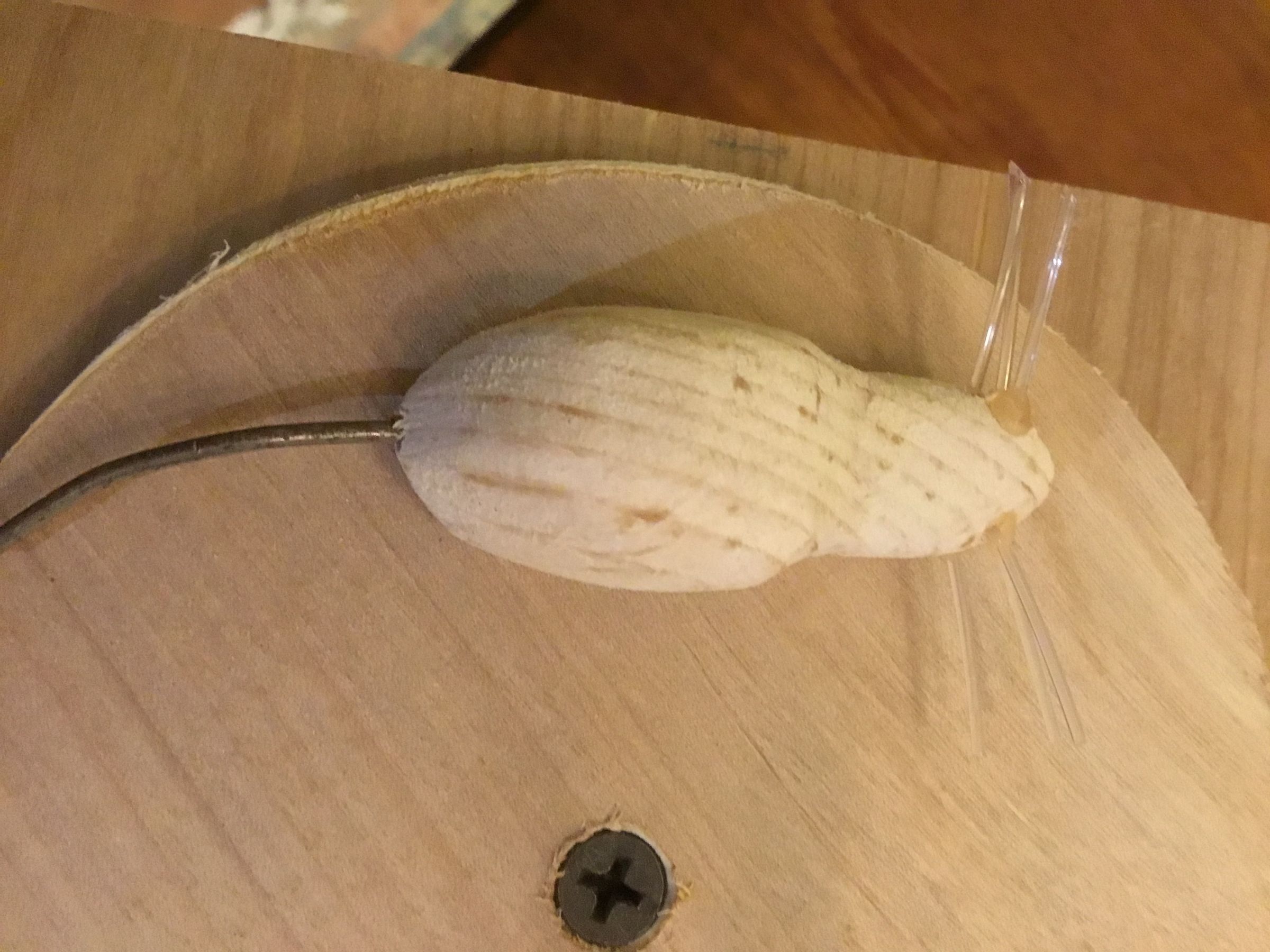 Cat and Mouse Automata : 10 Steps - Instructables