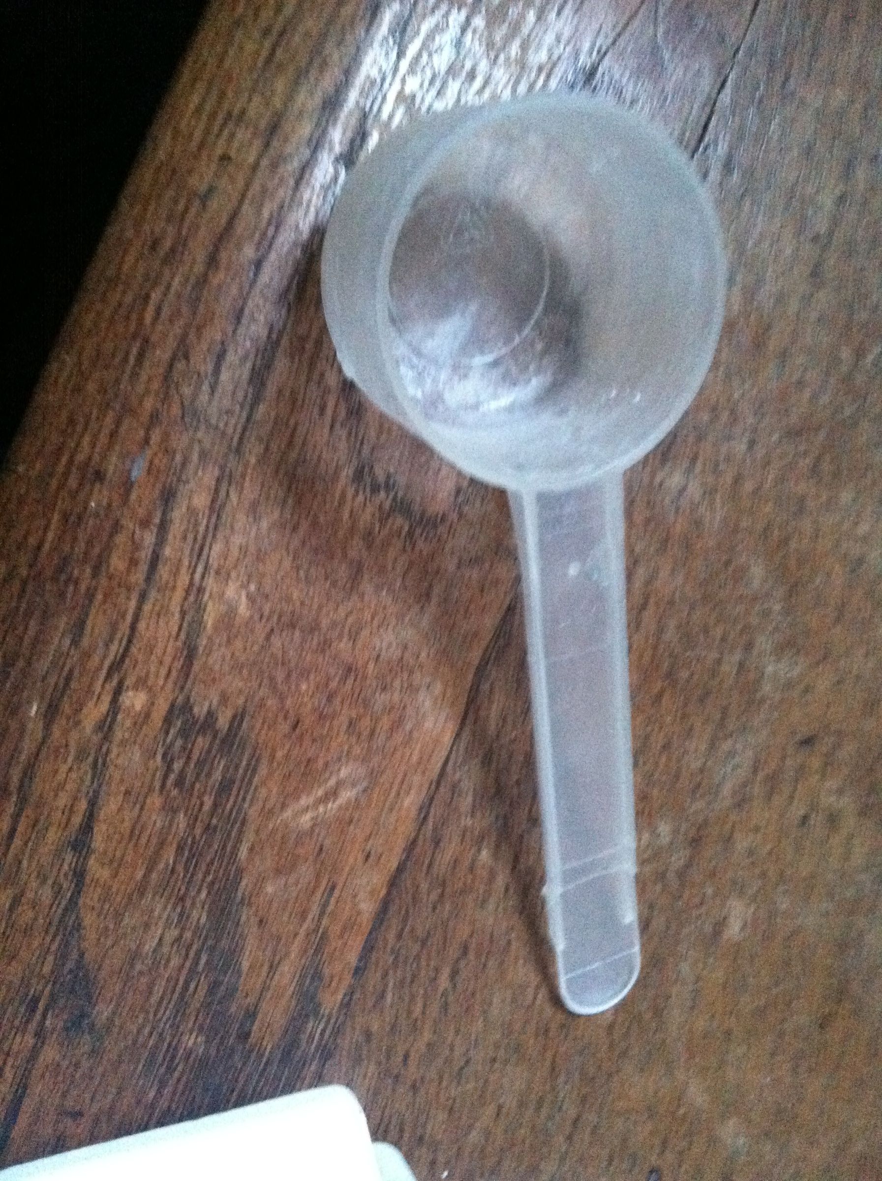 Preserve Insects in Resin : 6 Steps (with Pictures) - Instructables