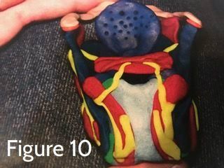 How to Create a Perfect Clay Model Larynx : 5 Steps (with Pictures ...