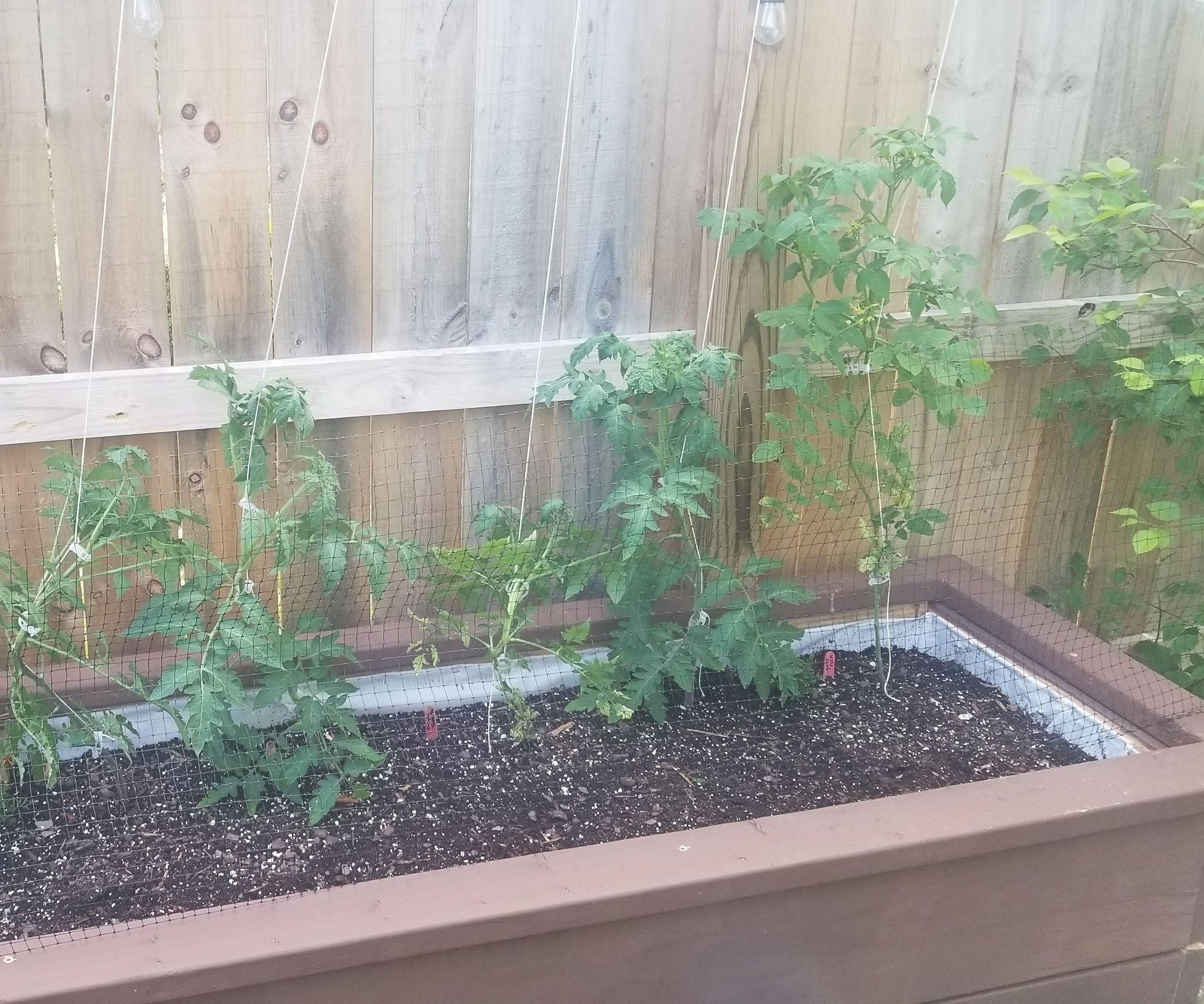 SIP Raised Garden Bed : 8 Steps (with Pictures) - Instructables