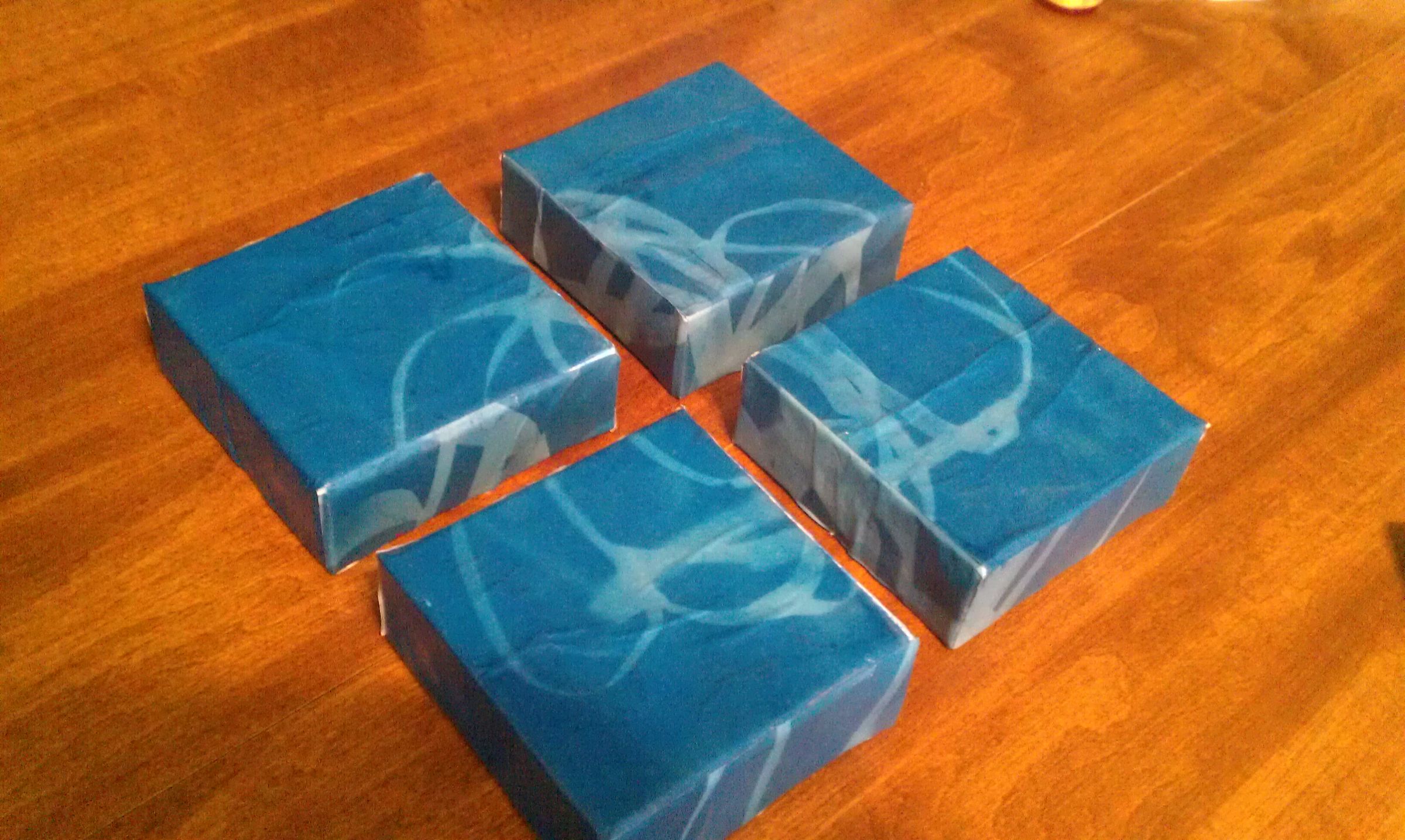 Capturing Translucent Shadows With Cyanotype : 8 Steps - Instructables