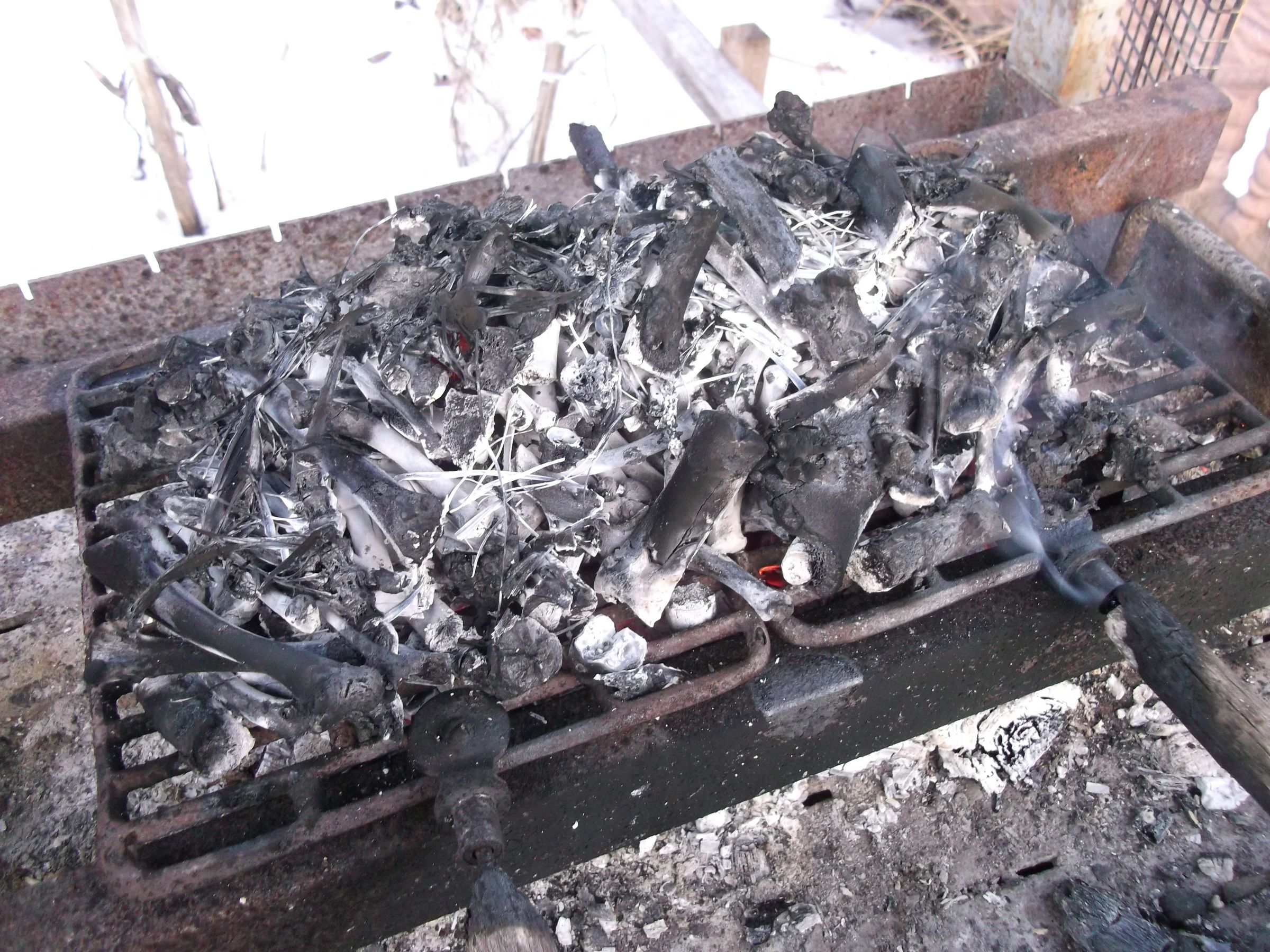 Animal Bones As Fuel and Fertilizer : 6 Steps (with Pictures ...