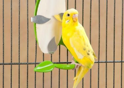 Pewter Casting : 6 Steps (with Pictures) - Instructables