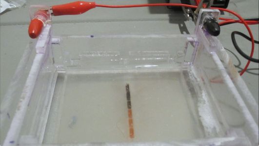 DIY Gel Electrophoresis Box for Separating DNA : 6 Steps - Instructables