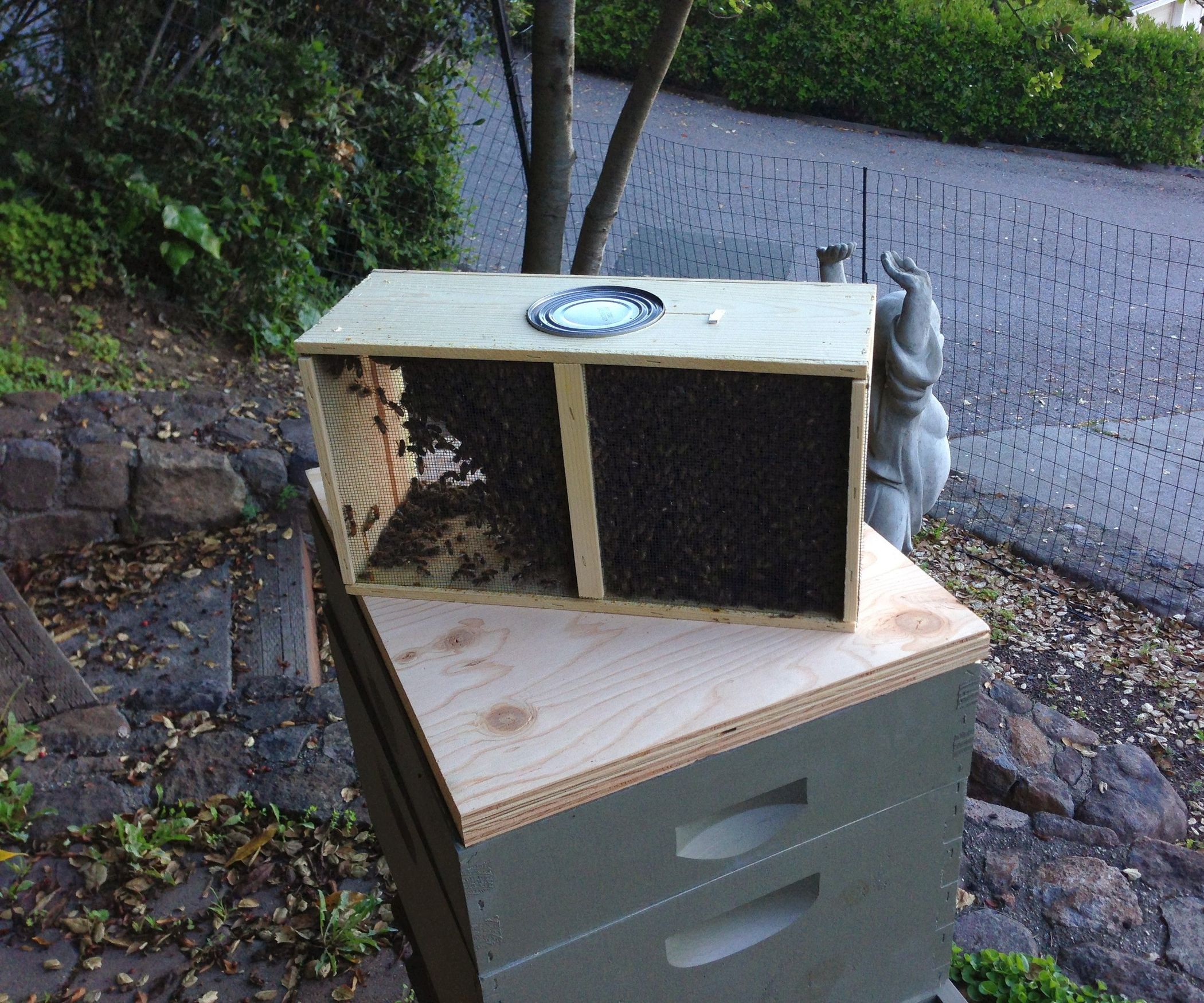 Hiving a Package of Bees : 11 Steps (with Pictures) - Instructables