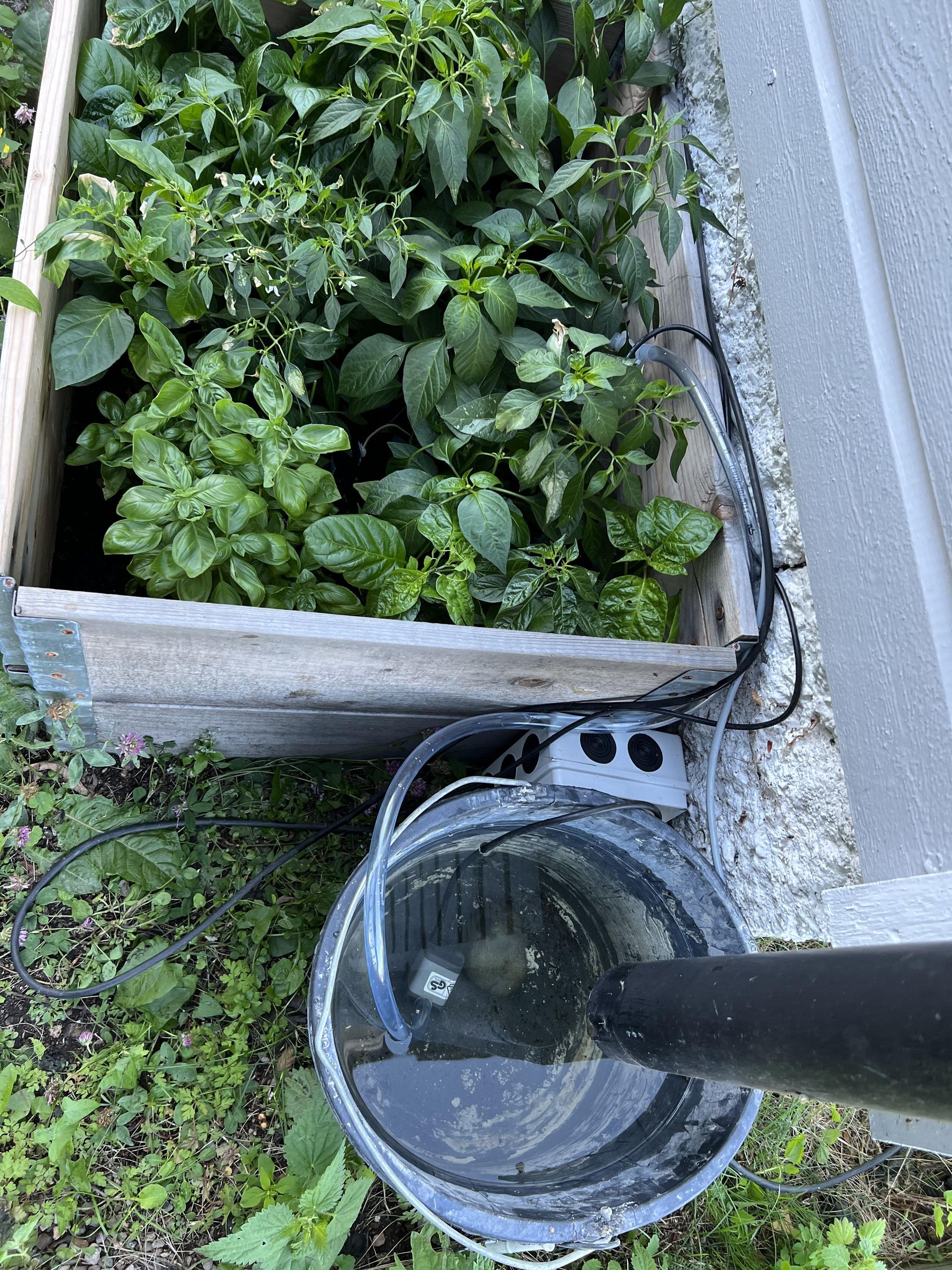 Arduino Plant Watering System : 12 Steps (with Pictures) - Instructables