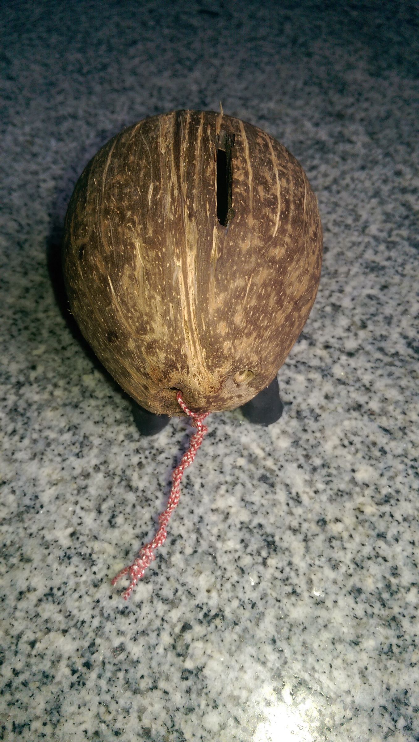 Coconut Piggy Bank : 9 Steps - Instructables