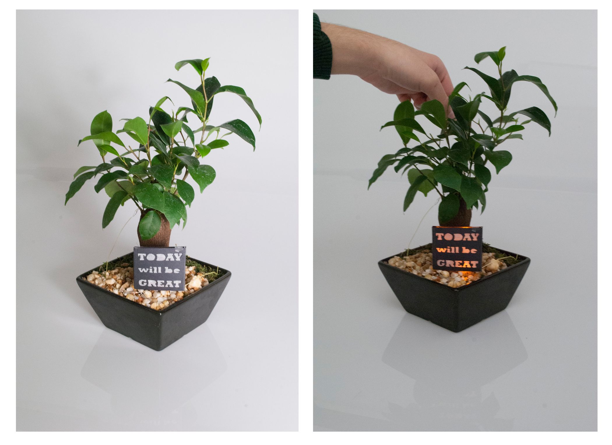 Positivity Plant : 8 Steps (with Pictures) - Instructables