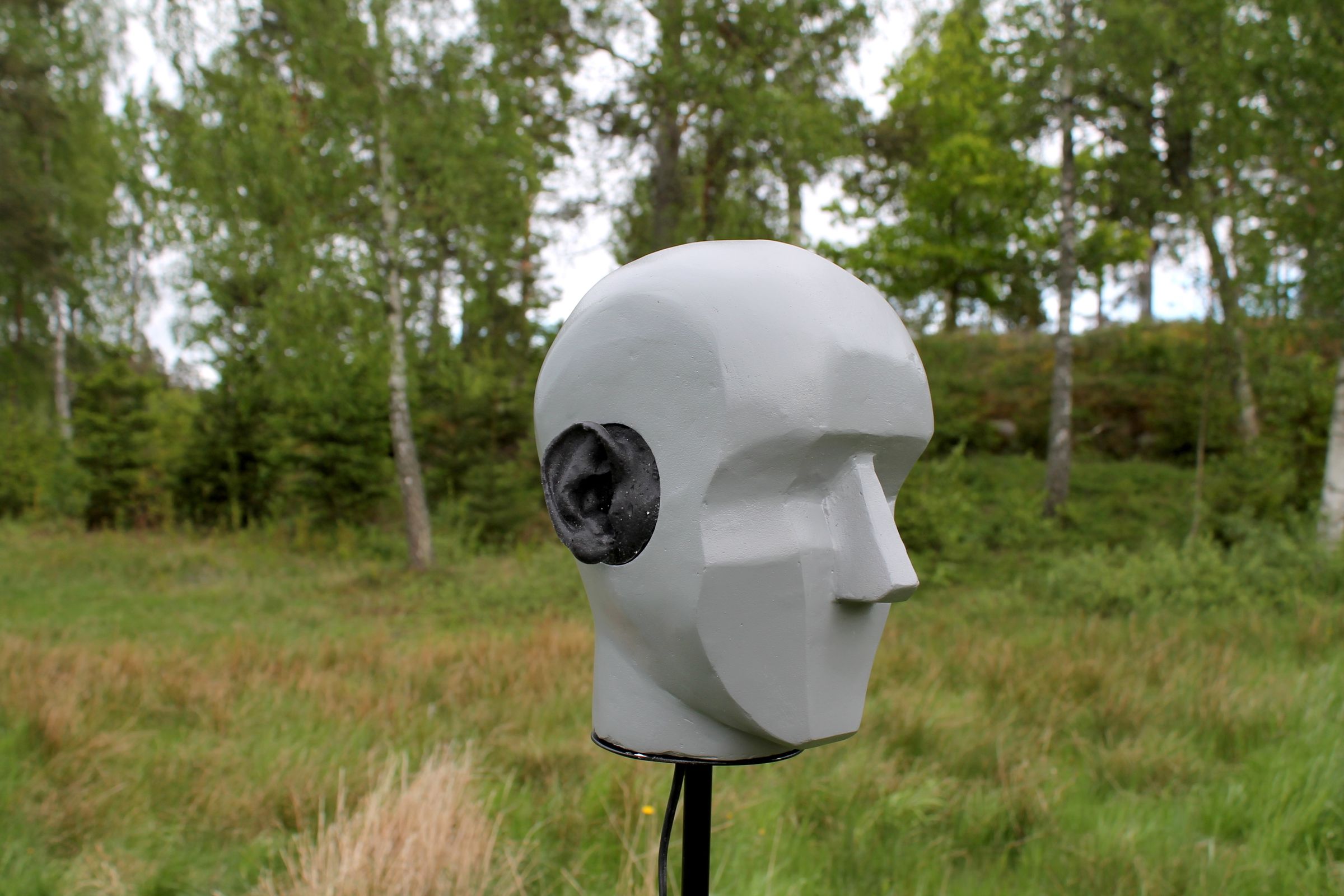 Binaural Head for Stereo Recording : 8 Steps (with Pictures ...