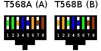 How to Terminate a Cat 5 Cable : 6 Steps (with Pictures) - Instructables