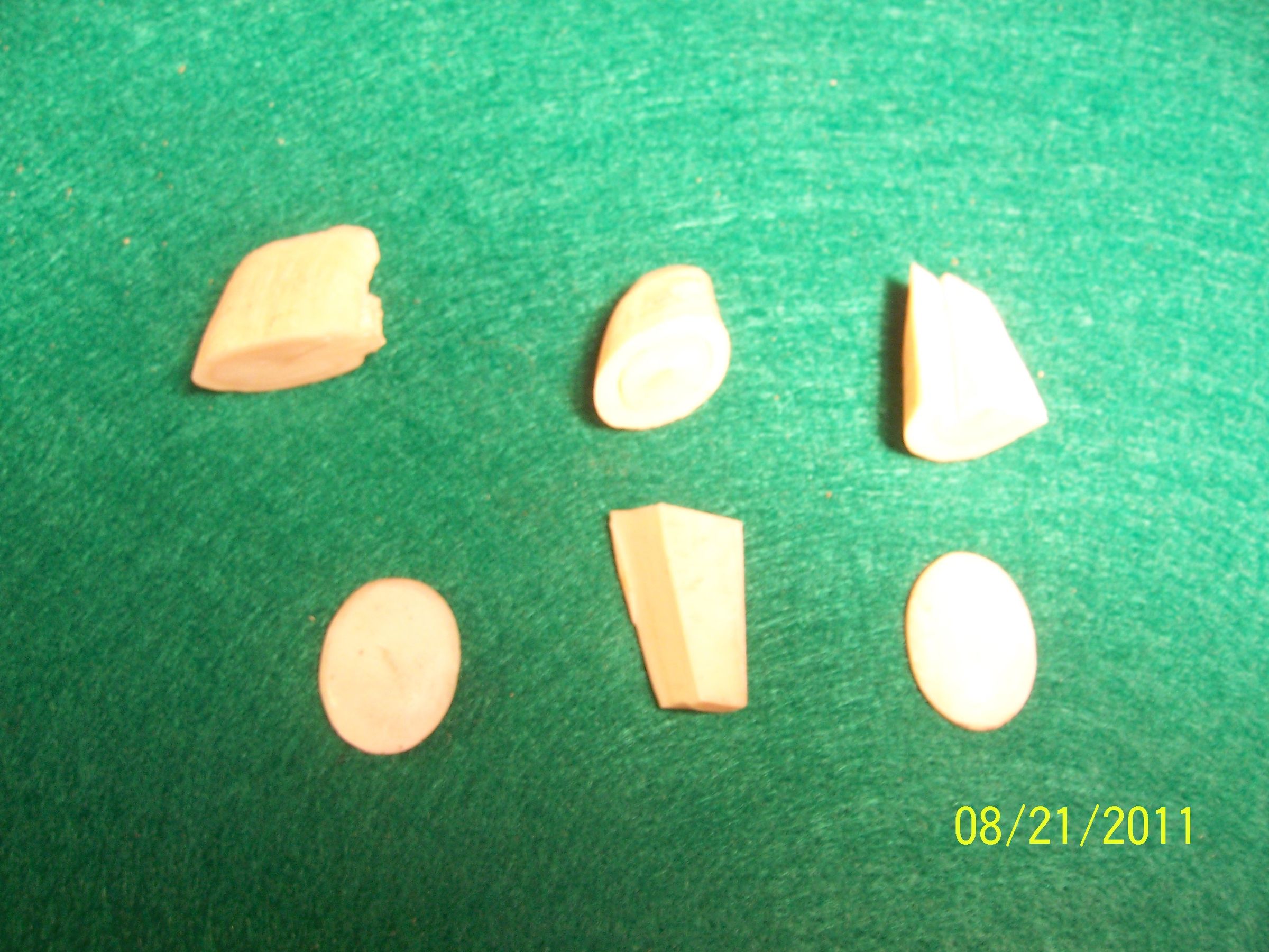 Easy Scrimshaw for Beginners : 16 Steps - Instructables