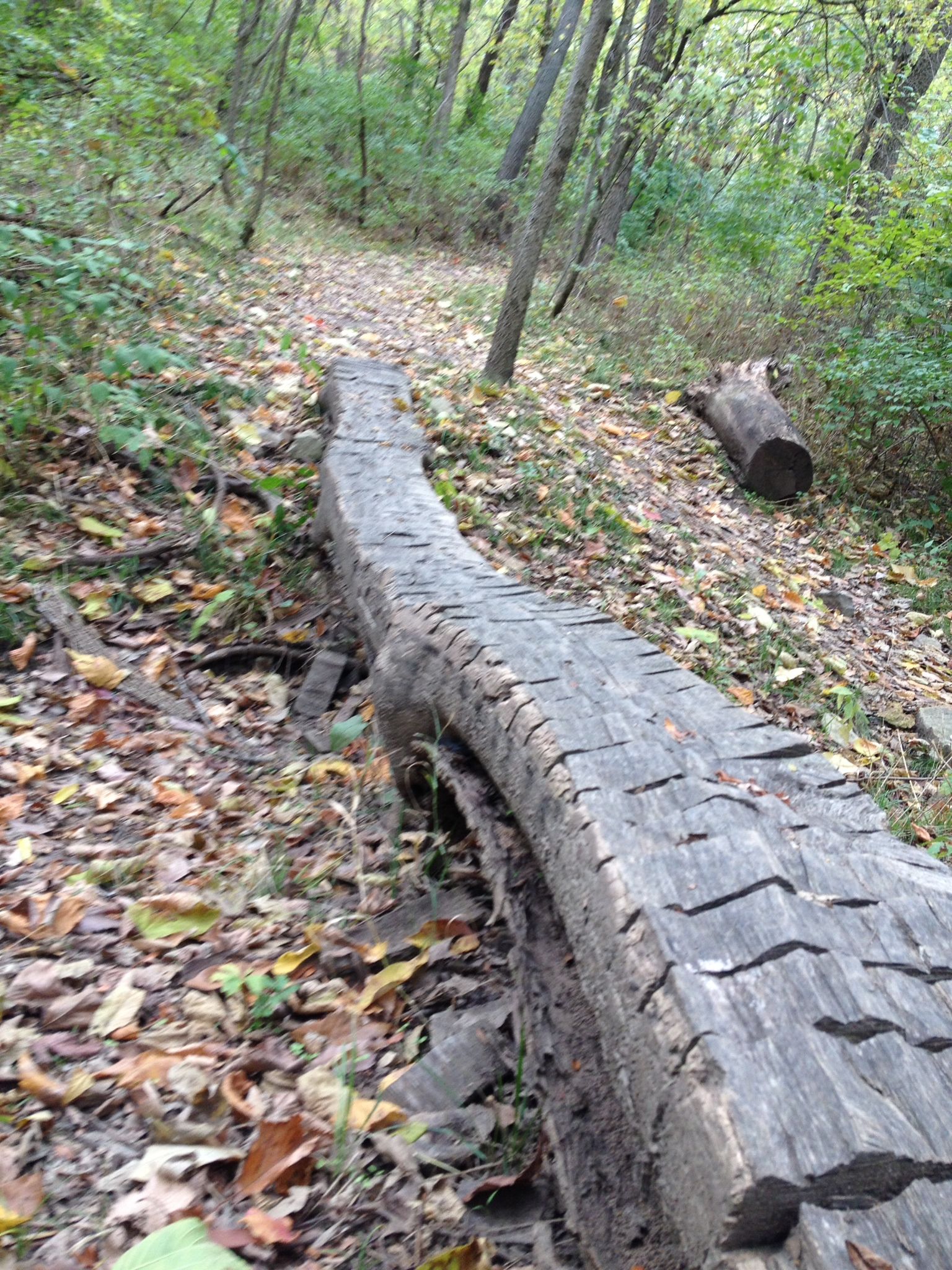 How to Make a Mountain Bike Bridge : 4 Steps - Instructables