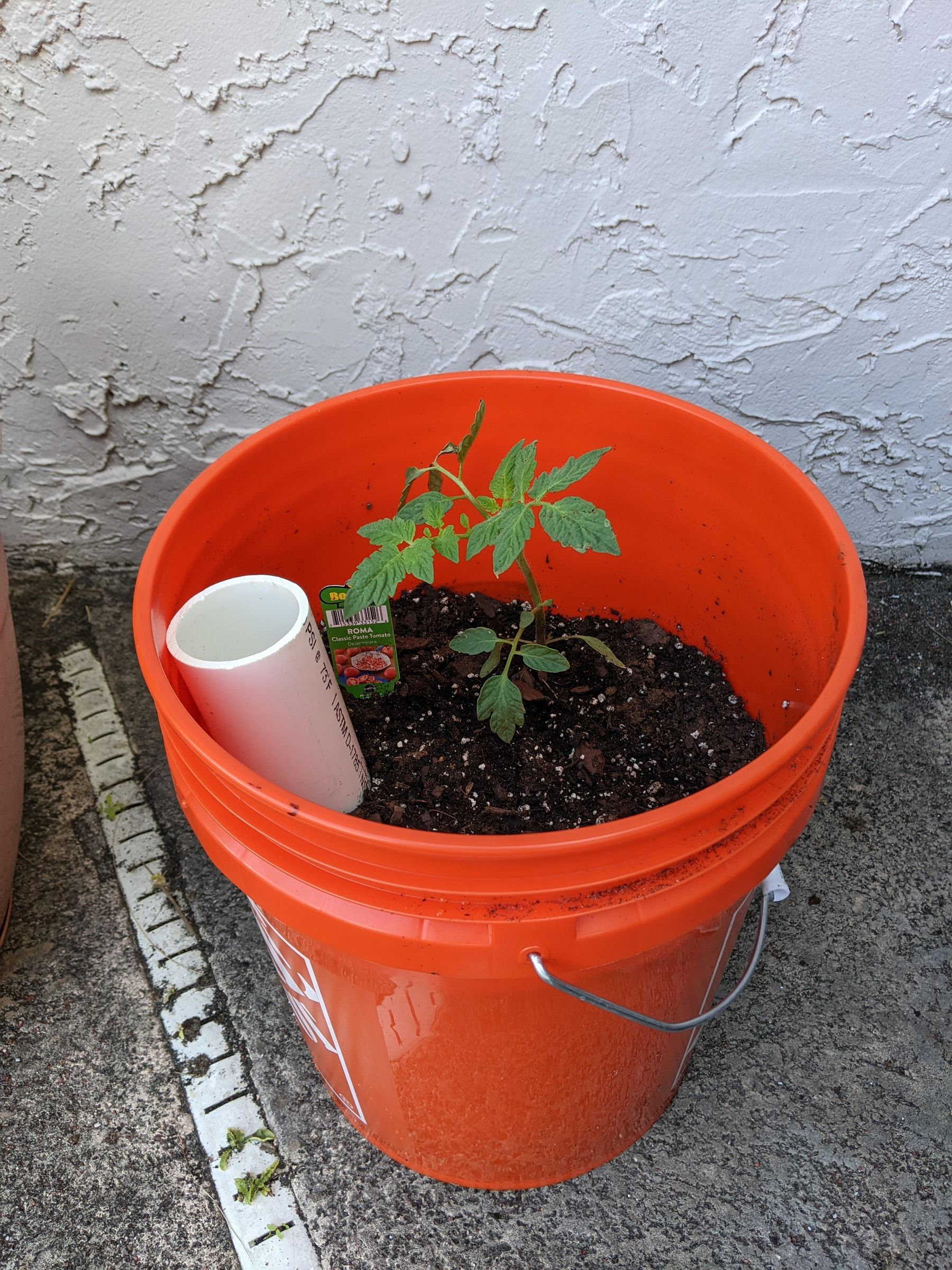 Self-watering Container Garden : 5 Steps (with Pictures) - Instructables