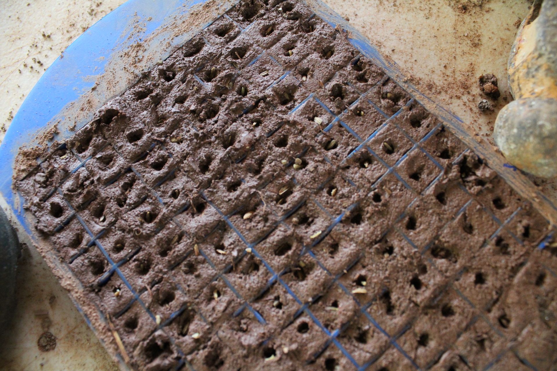 Homemade Pelleted Seeds : 8 Steps (with Pictures) - Instructables