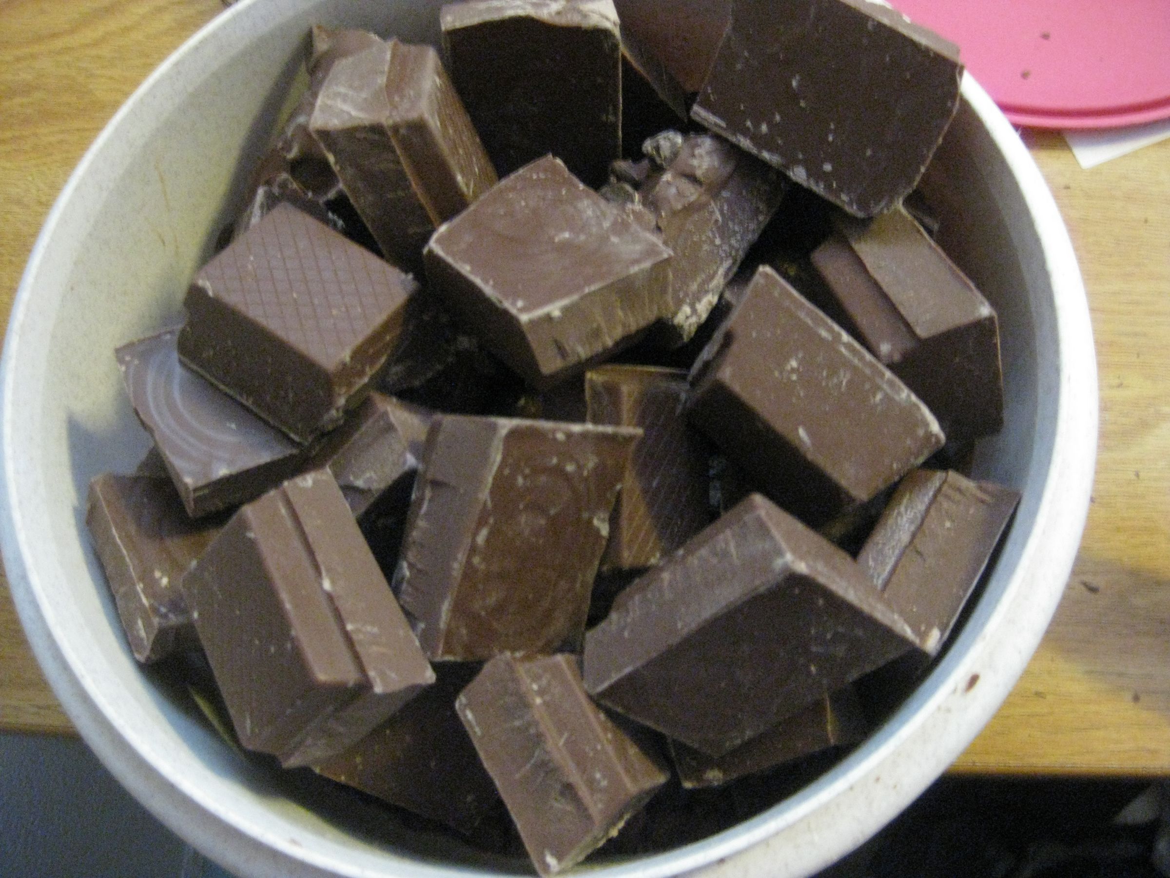 Chocolate Dinosaur : 7 Steps (with Pictures) - Instructables