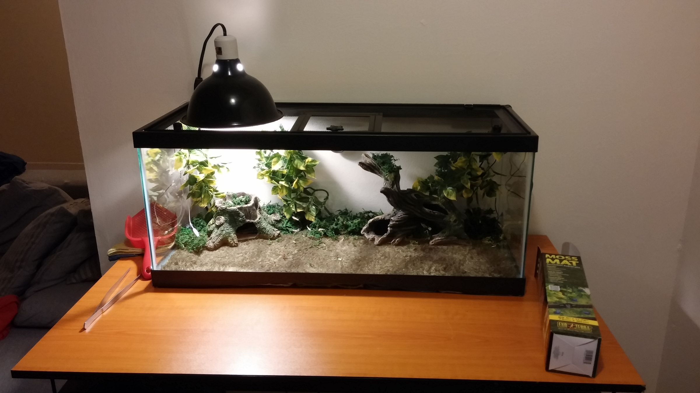 How to Set Up a Reptile Terrarium : 8 Steps (with Pictures) - Instructables