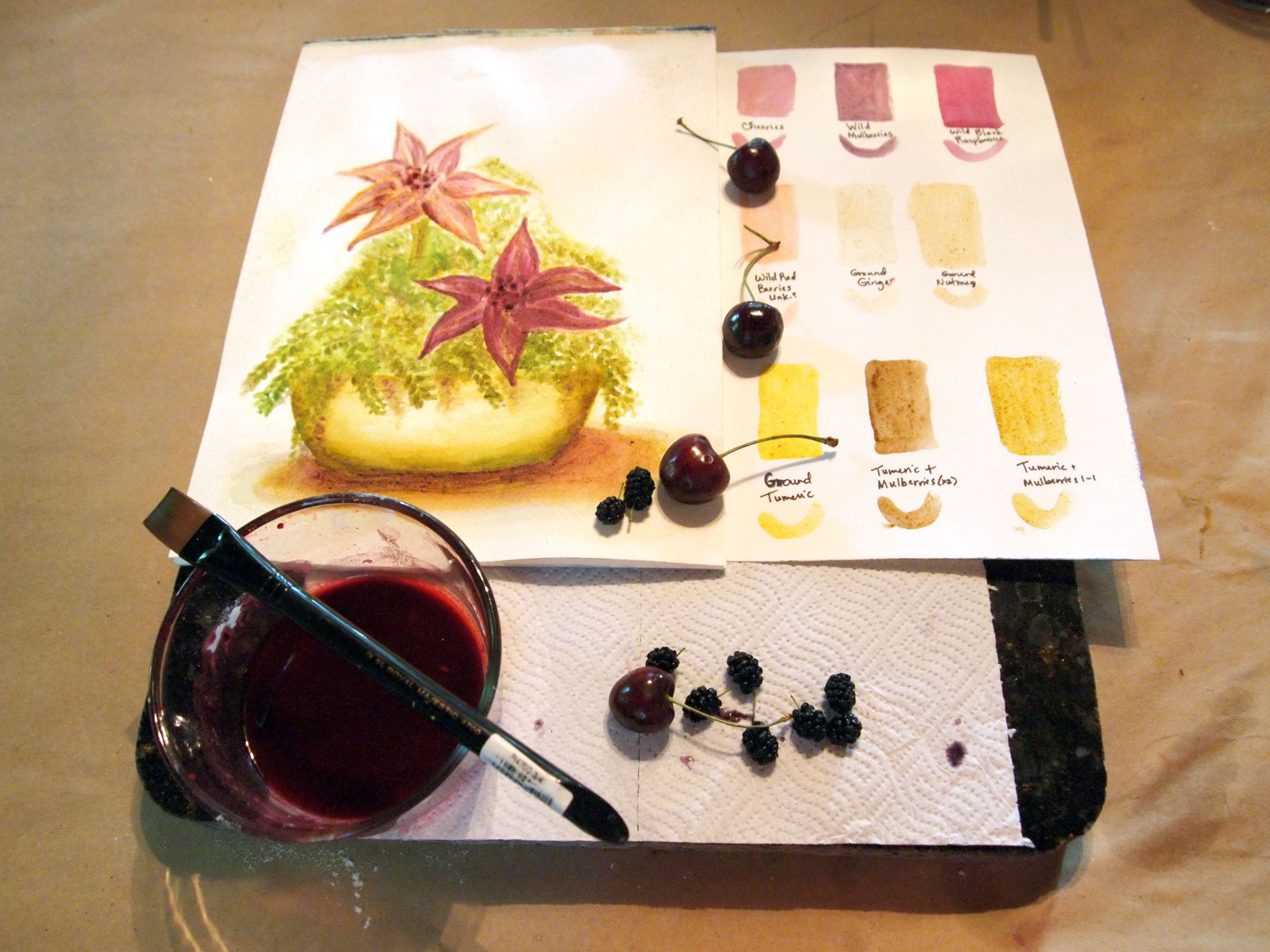 Paint Made From Berries & Nature : 4 Steps (with Pictures) - Instructables
