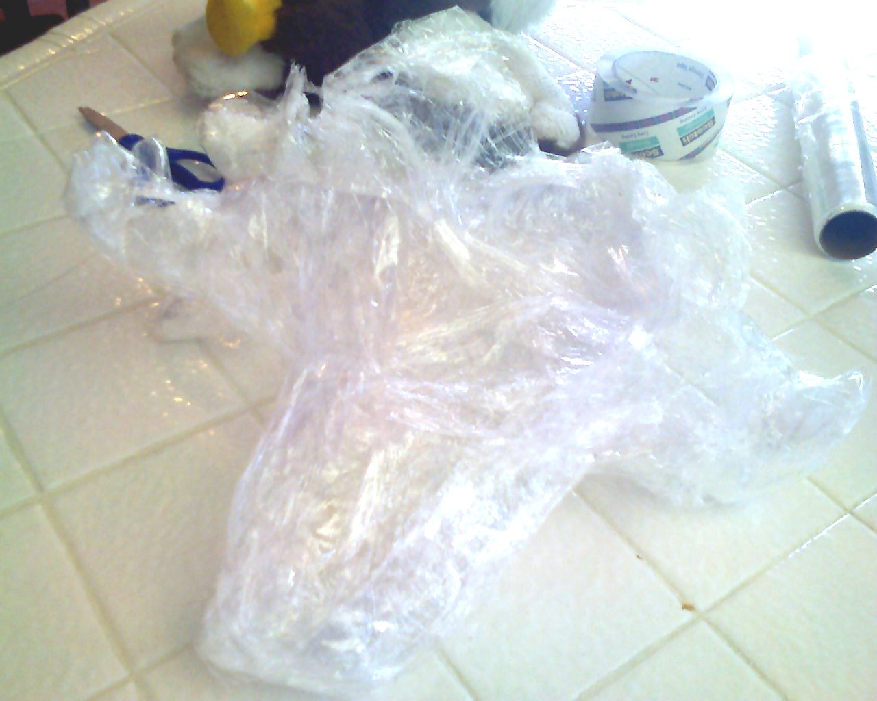 Plastic Wrap Sculptures! : 6 Steps (with Pictures) - Instructables
